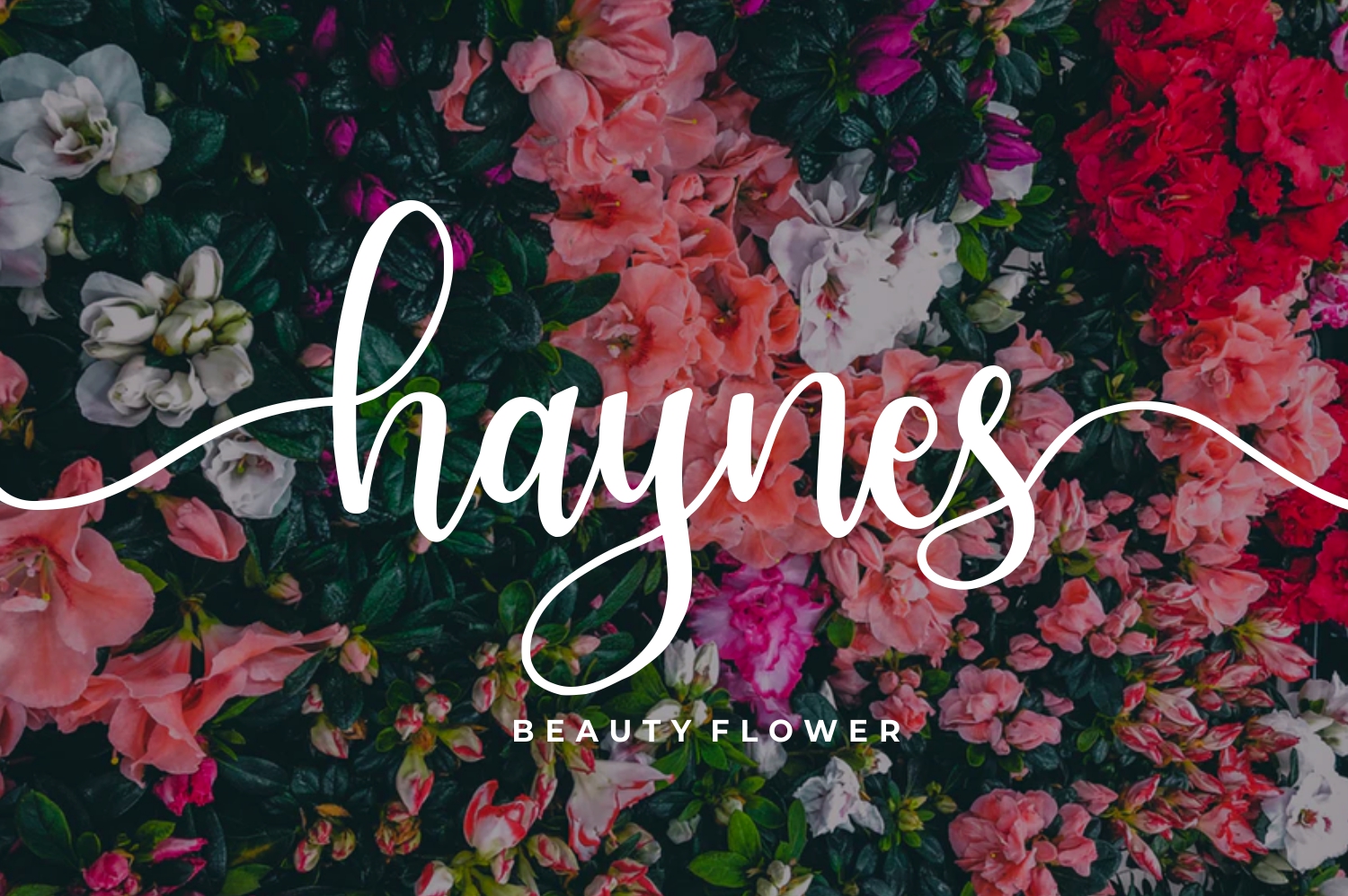 Glowing - Modern Calligraphy, Fonts | GraphicRiver