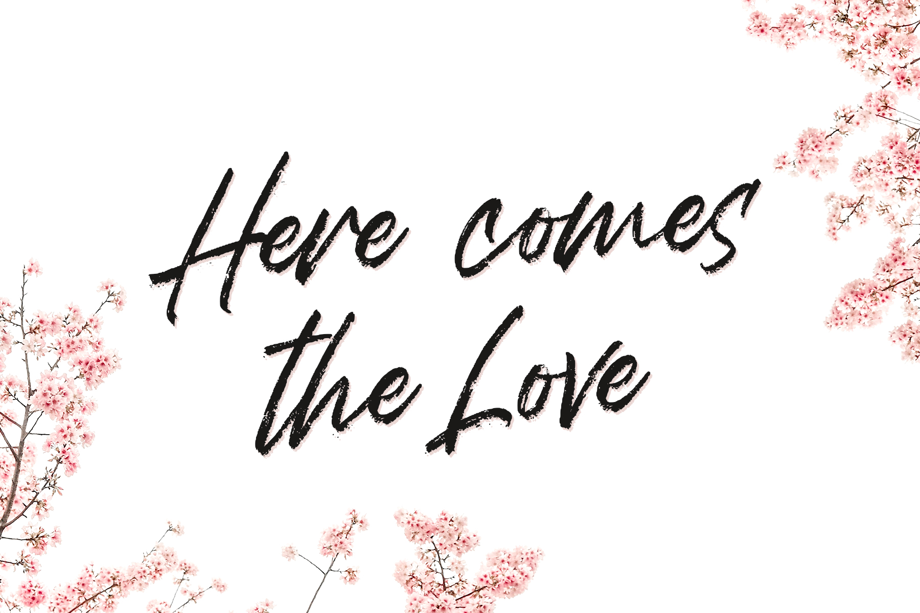 Shoufa, Fonts | GraphicRiver