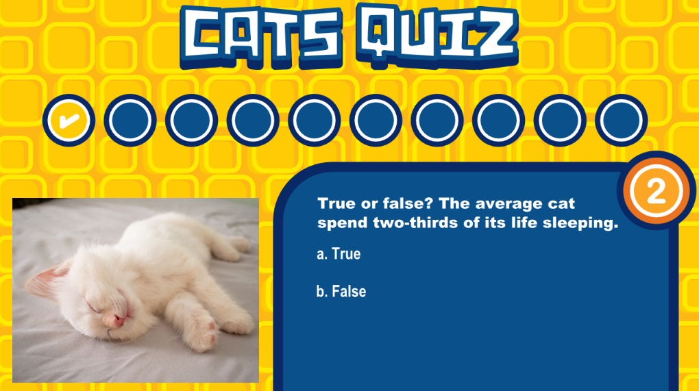 Cats Quiz | HTML5 Game | Educational Games by NubiaStudio | CodeCanyon