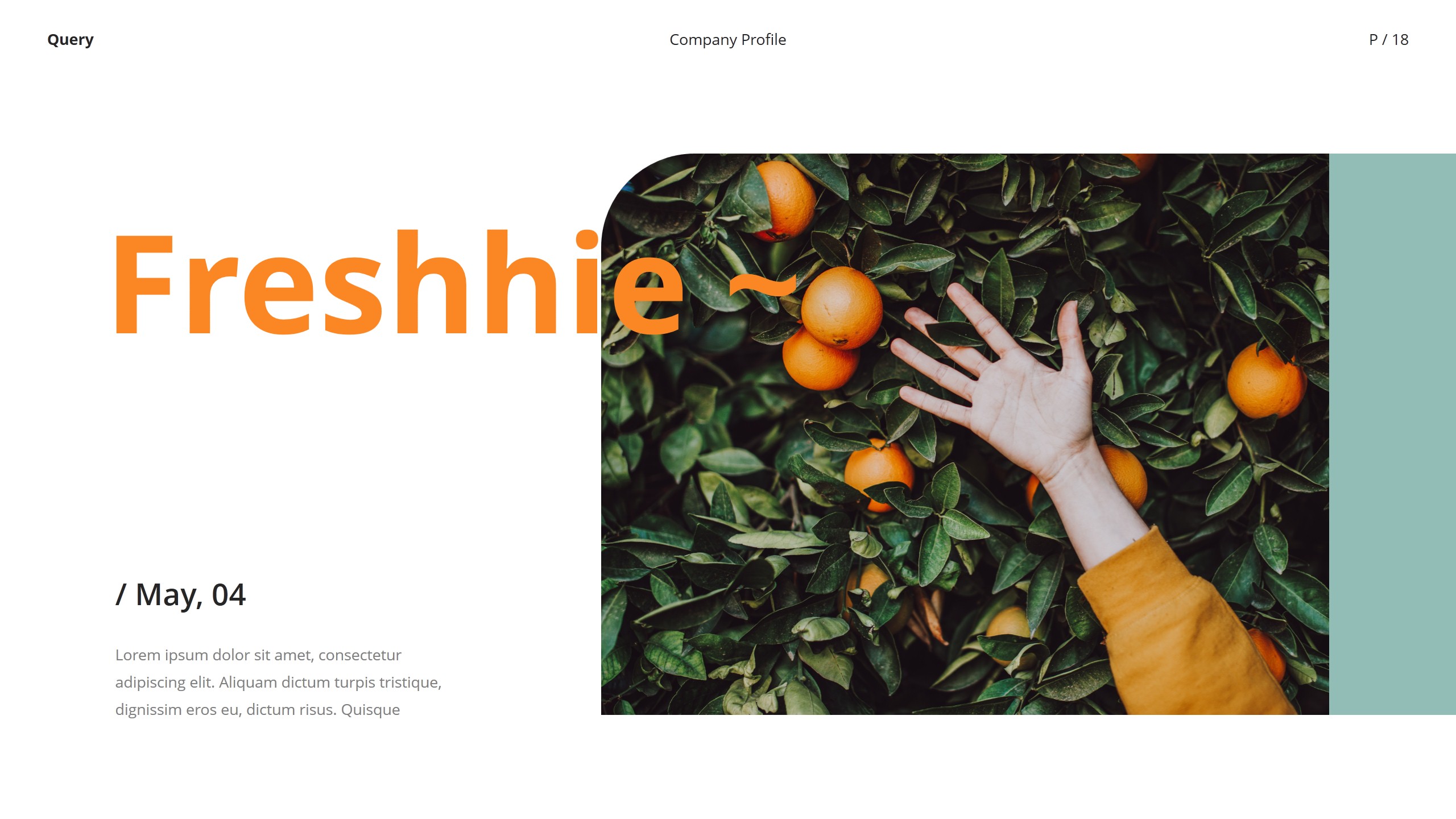 Query Powerpoint, Presentation Templates | GraphicRiver