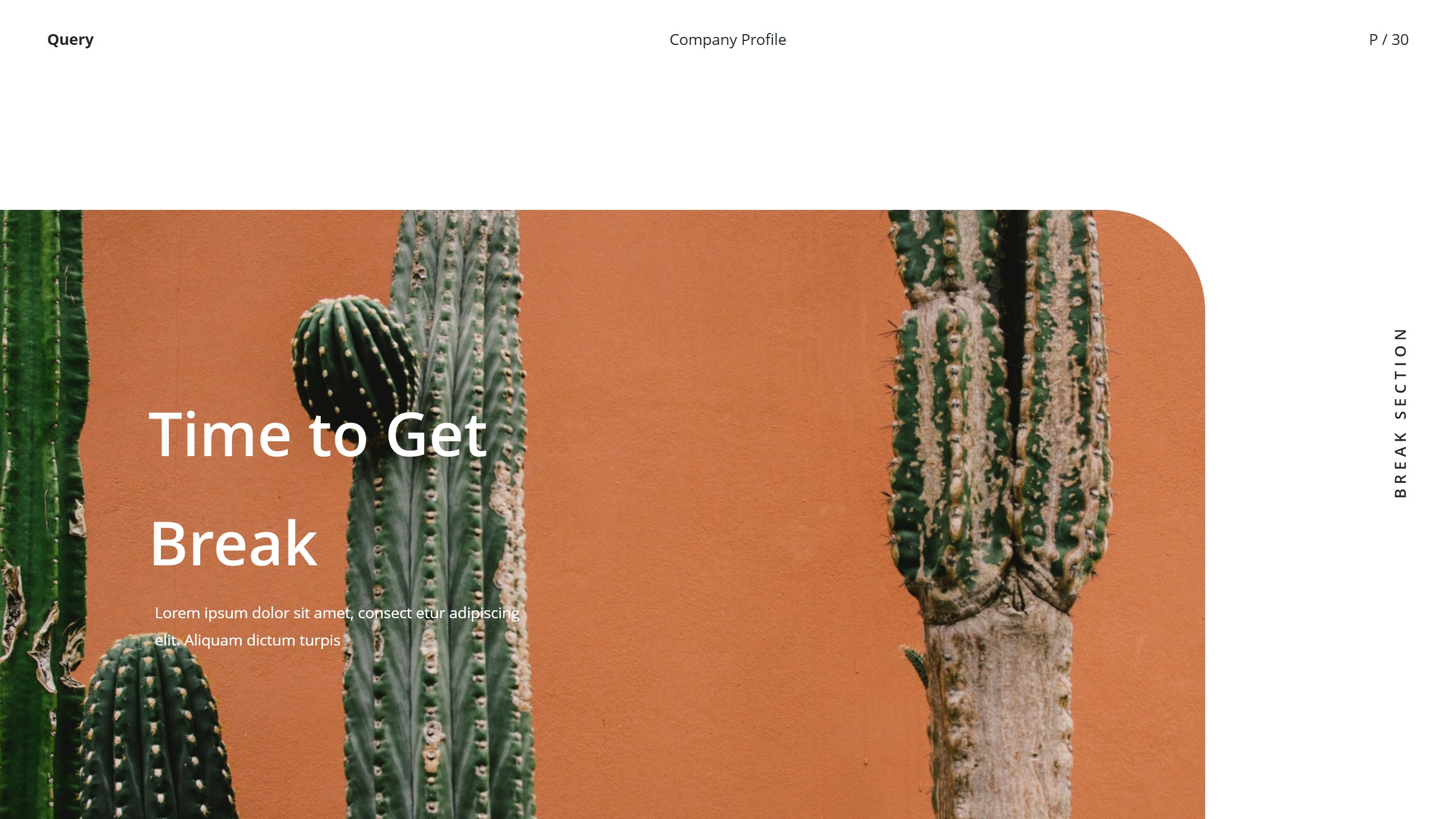 Query Powerpoint, Presentation Templates | GraphicRiver