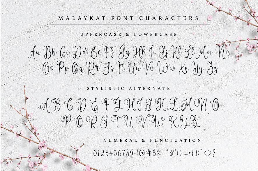Malaykat Script Font, Fonts | GraphicRiver
