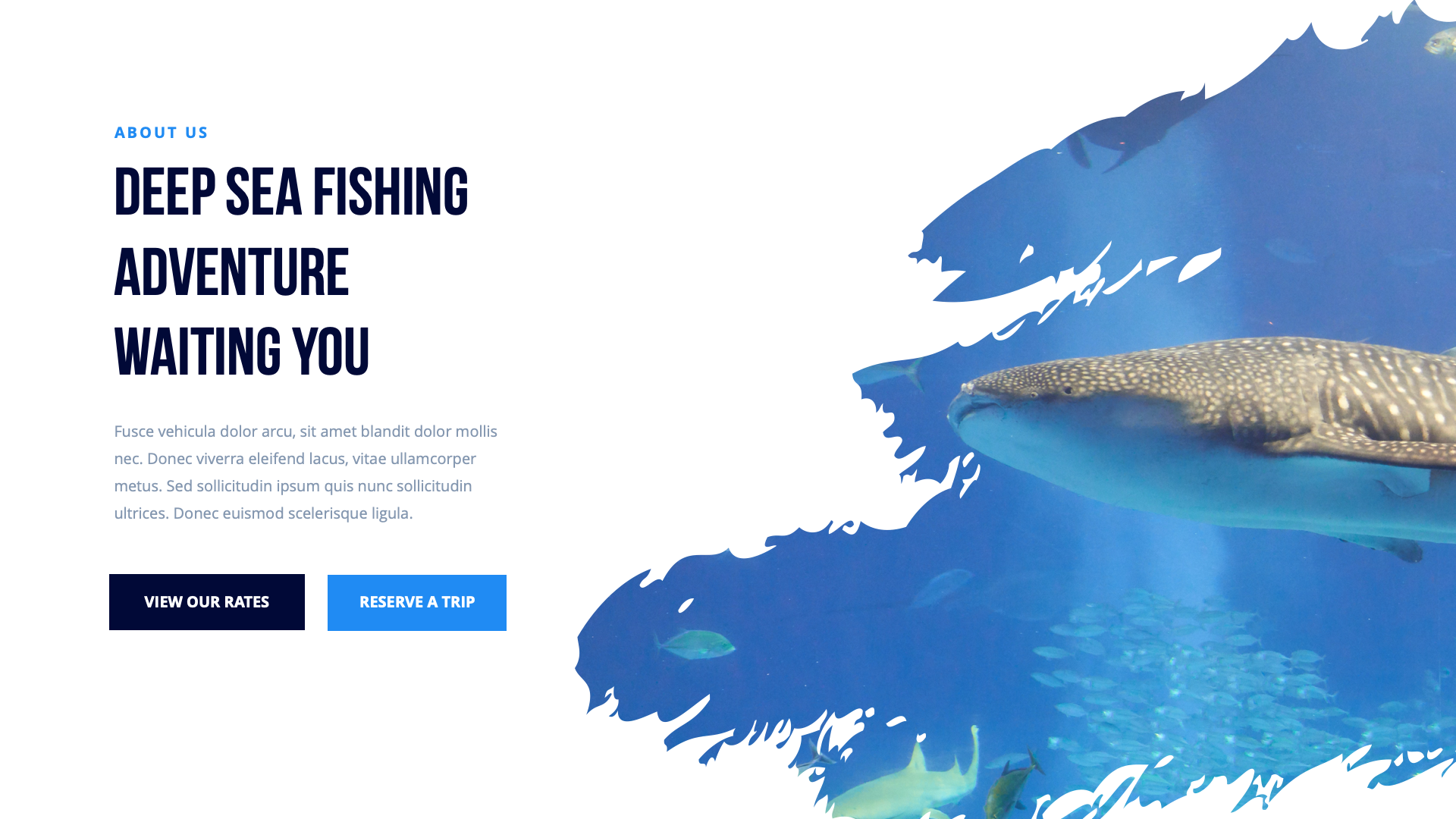 Strike - Fishing Club Keynote Template, Presentation Templates ...