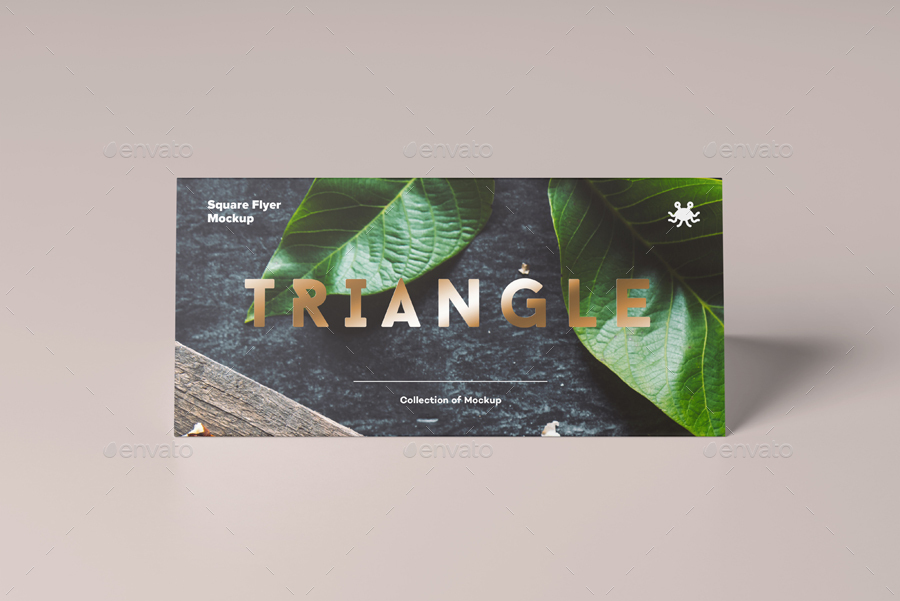 Triangle DL Brochure Stand Mock-up, Graphics | GraphicRiver