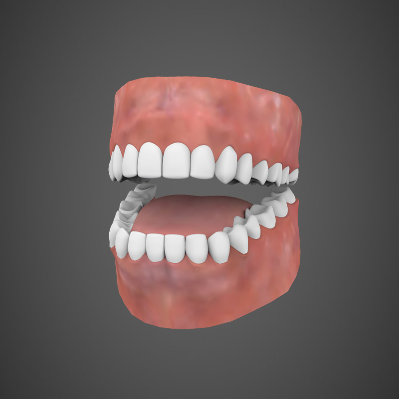 Realistic Fat Woman by CgTools | 3DOcean