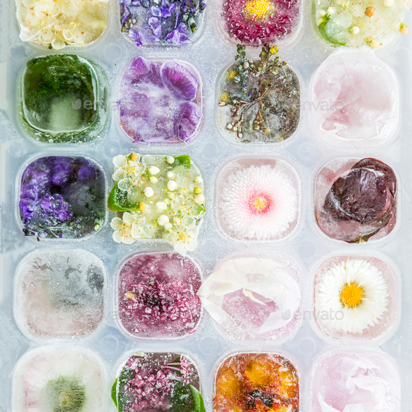 Tray with Frozen Flowers in Ice Cubes Stock Photo by Manuta | PhotoDune