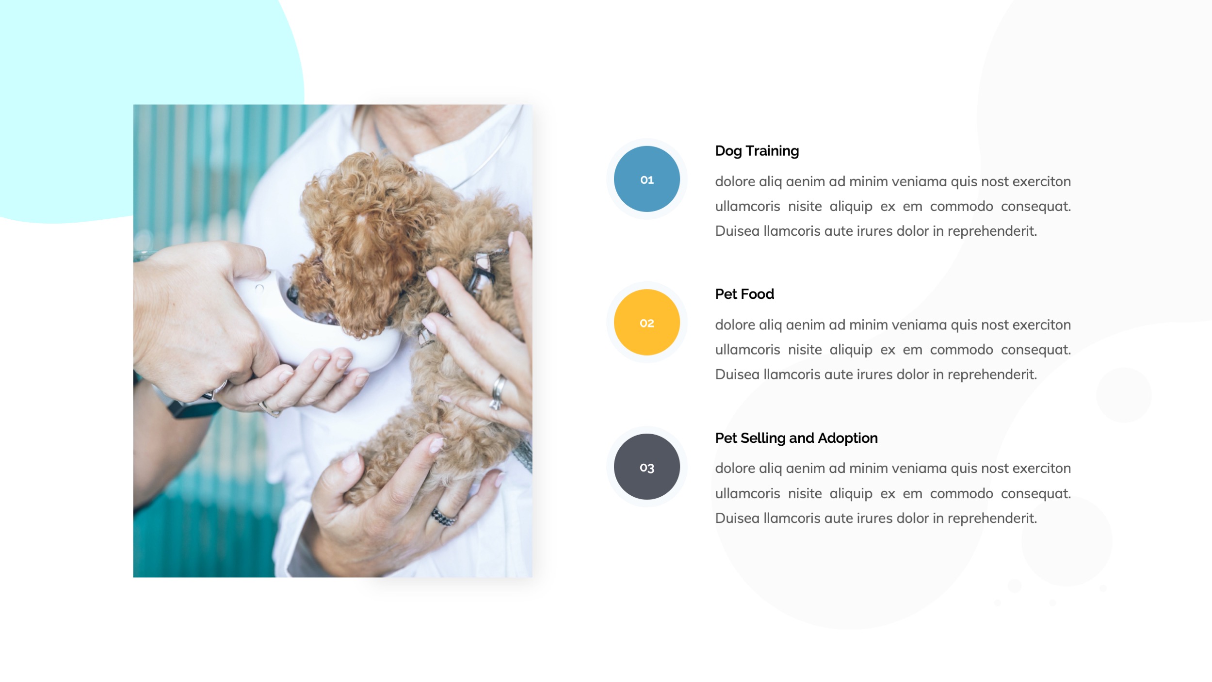 Pet Care & Veterinary PowerPoint Template, Presentation Templates ...
