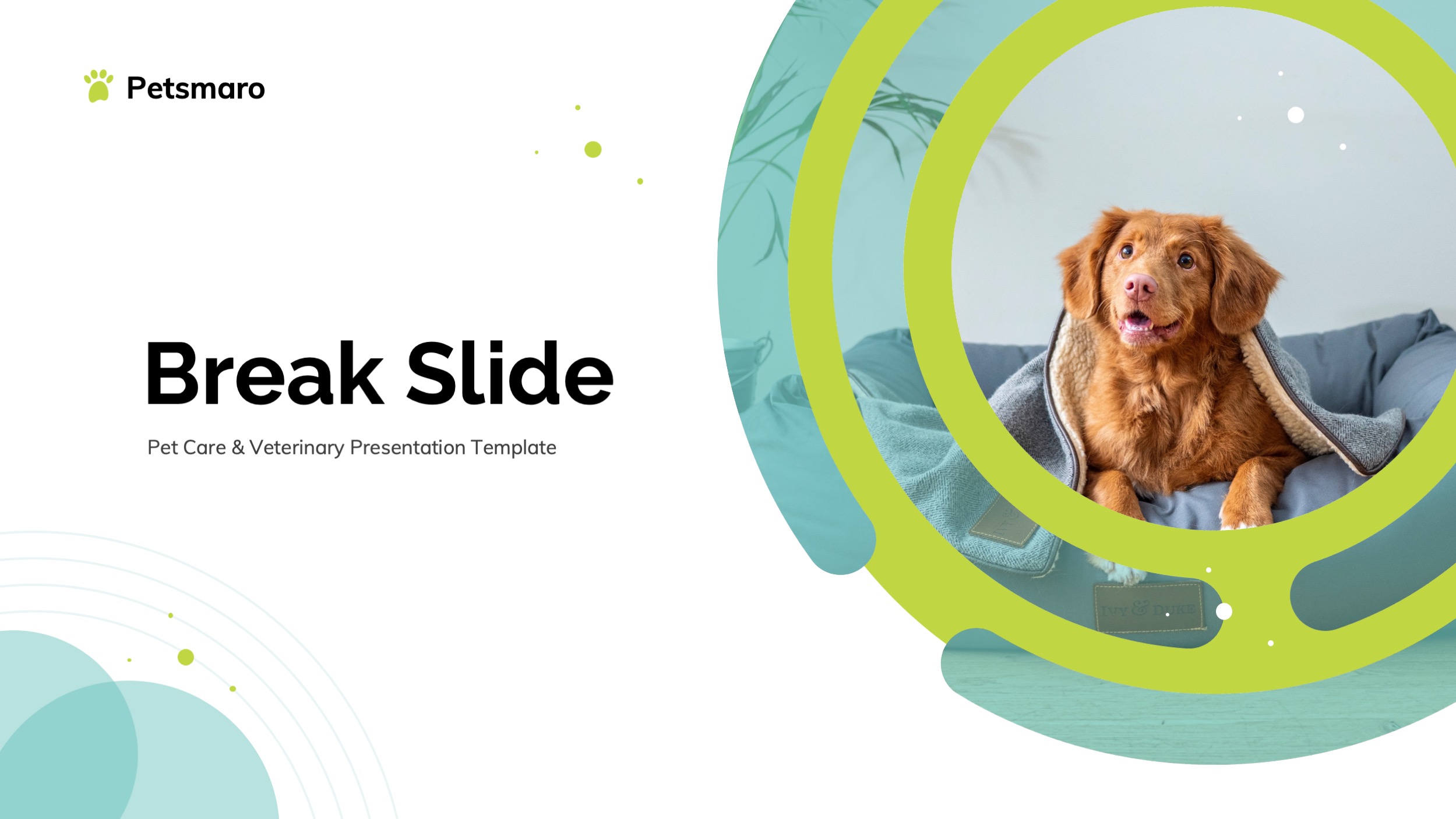 Pet Care & Veterinary PowerPoint Template, Presentation Templates ...