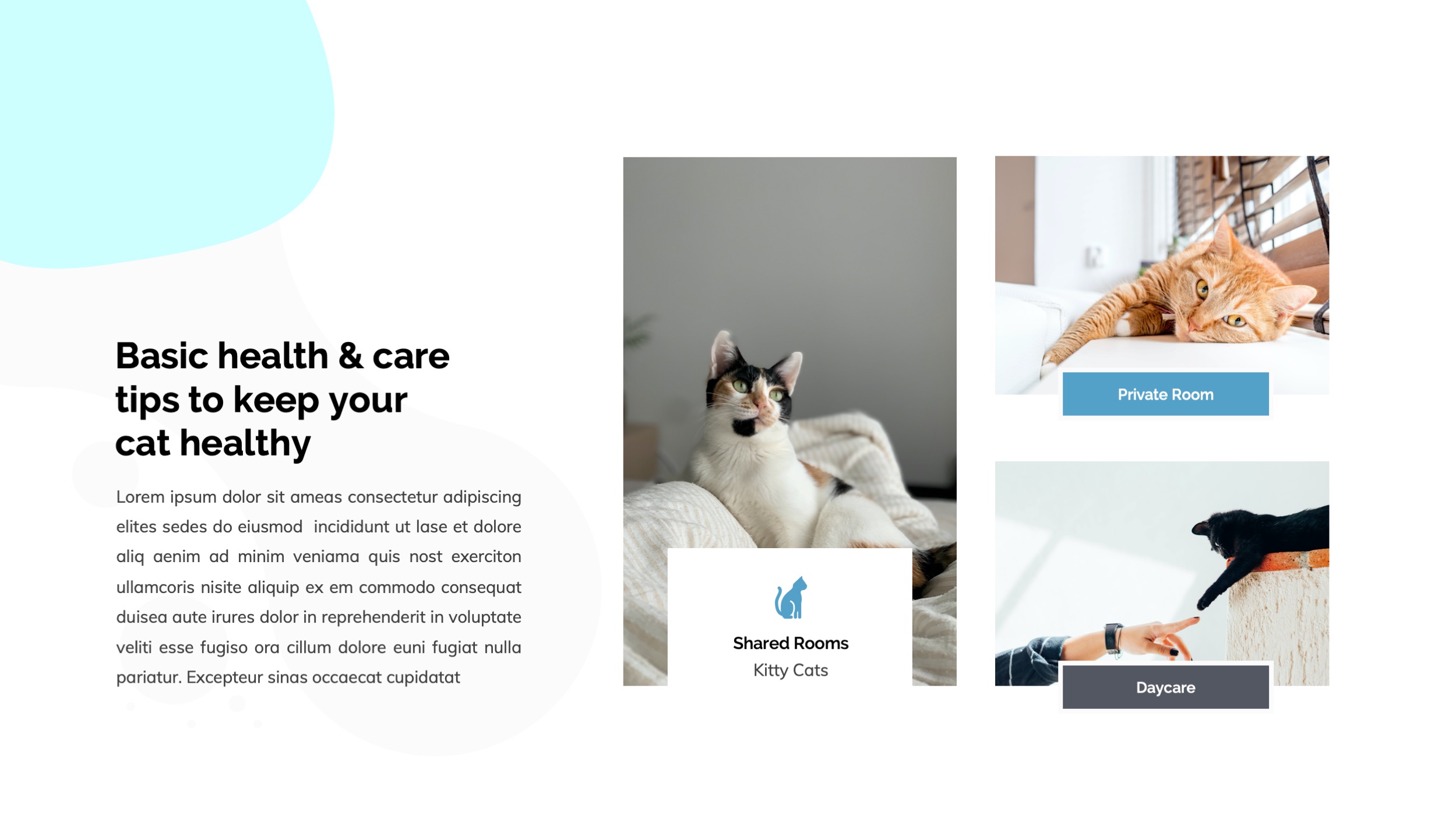 Pet Care & Veterinary PowerPoint Template, Presentation Templates ...