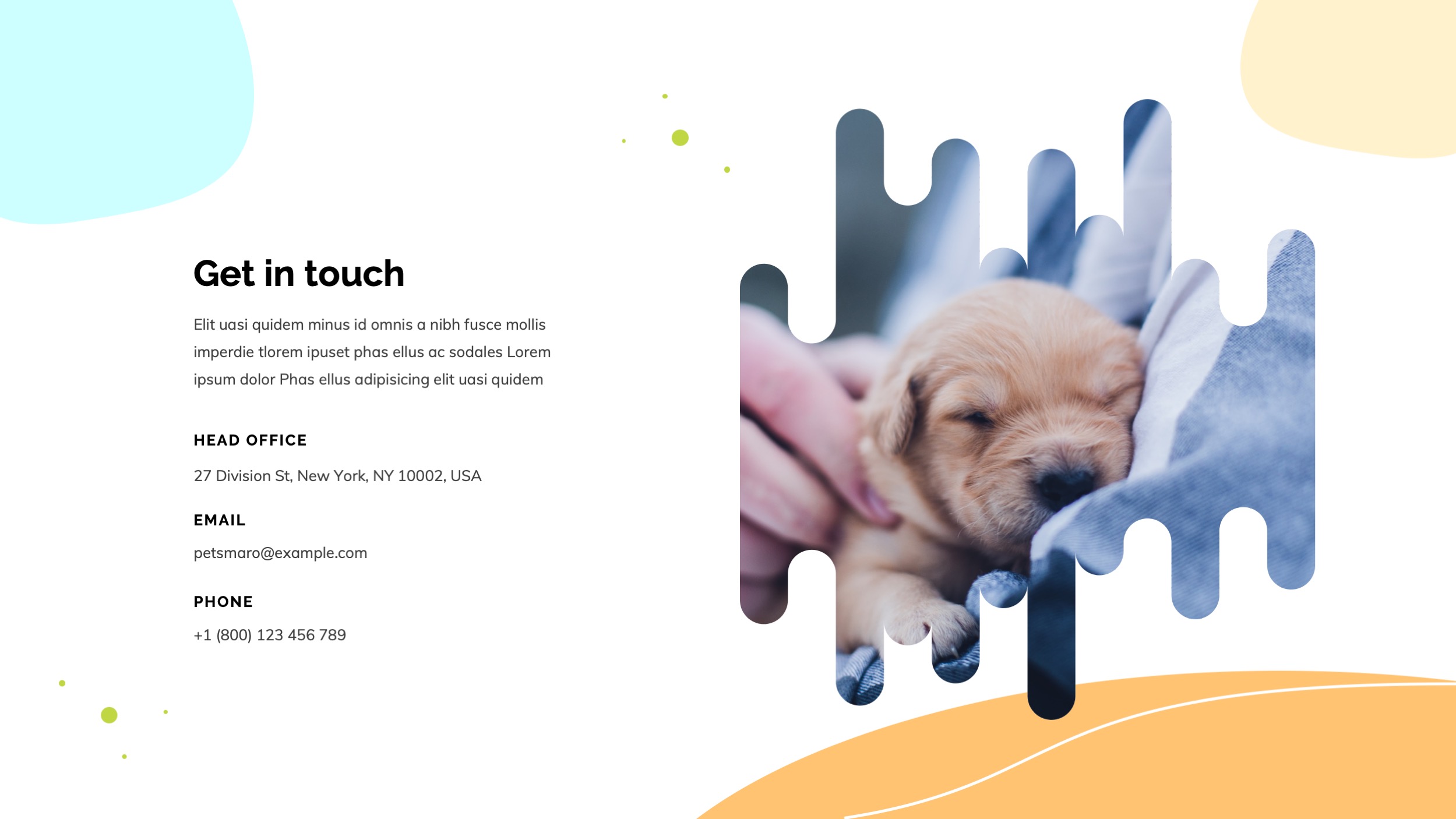 Pet Care & Veterinary PowerPoint Template, Presentation Templates ...
