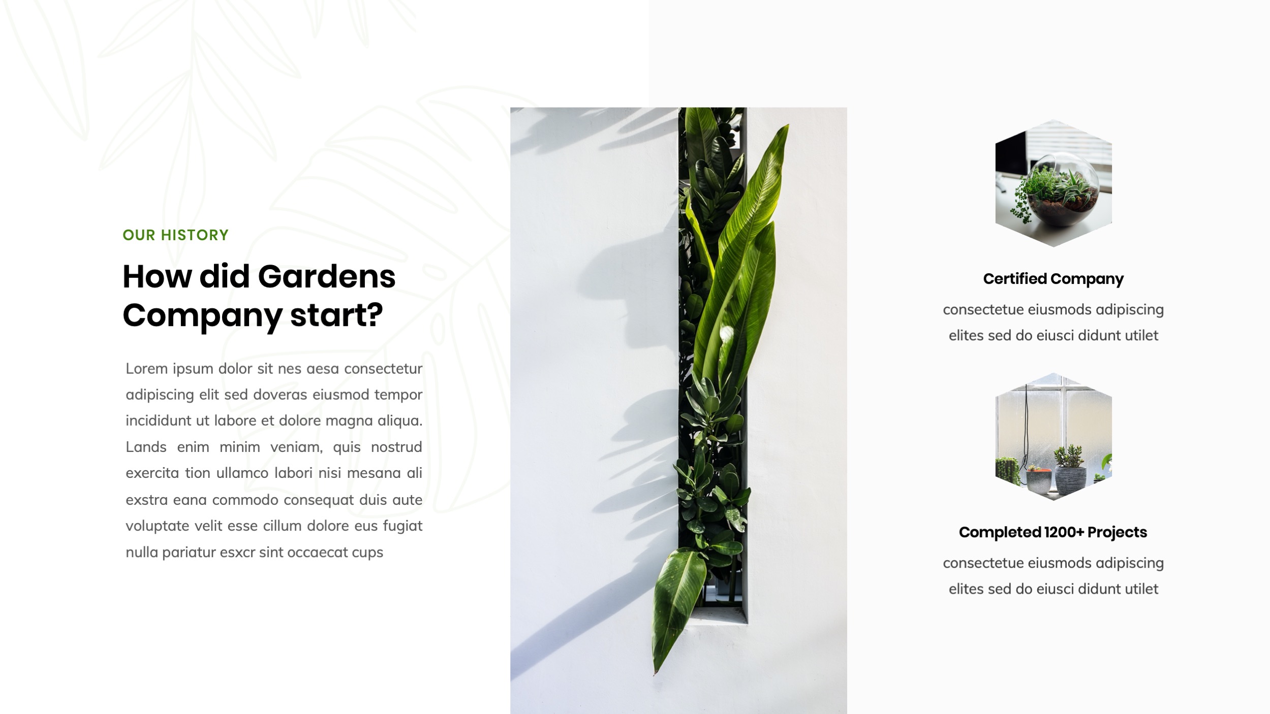 Garden & Landscaping PowerPoint Template, Presentation Templates ...