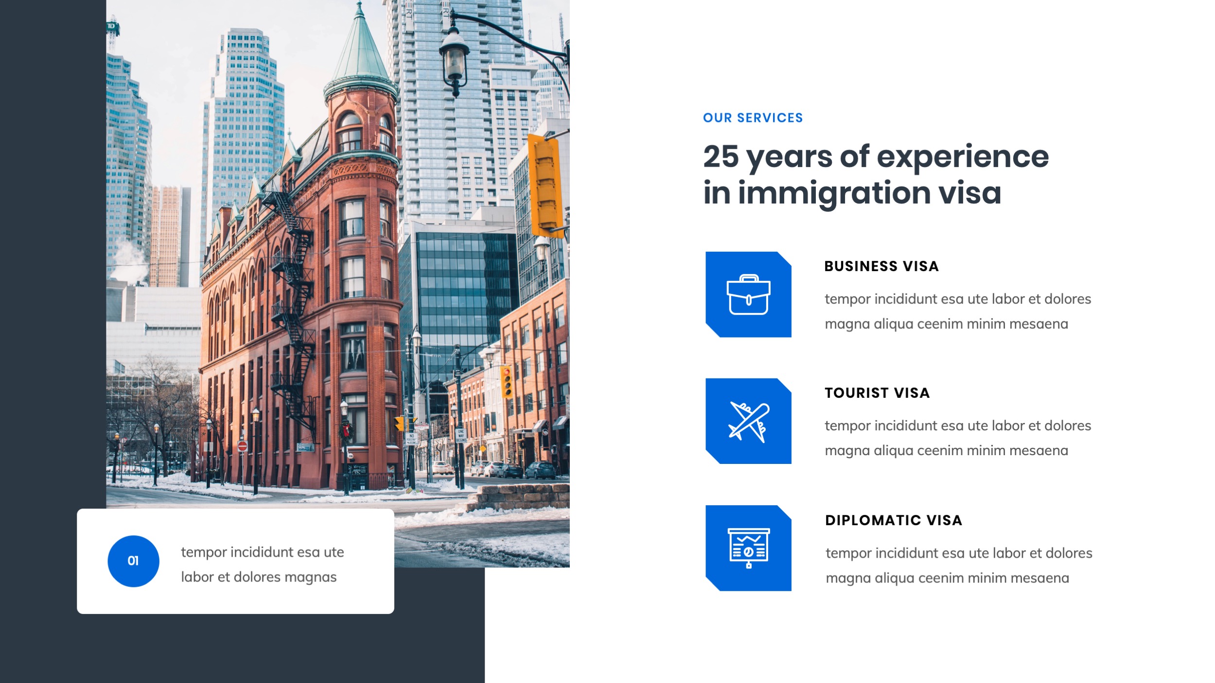 Immigration Consulting PowerPoint Template, Presentation Templates