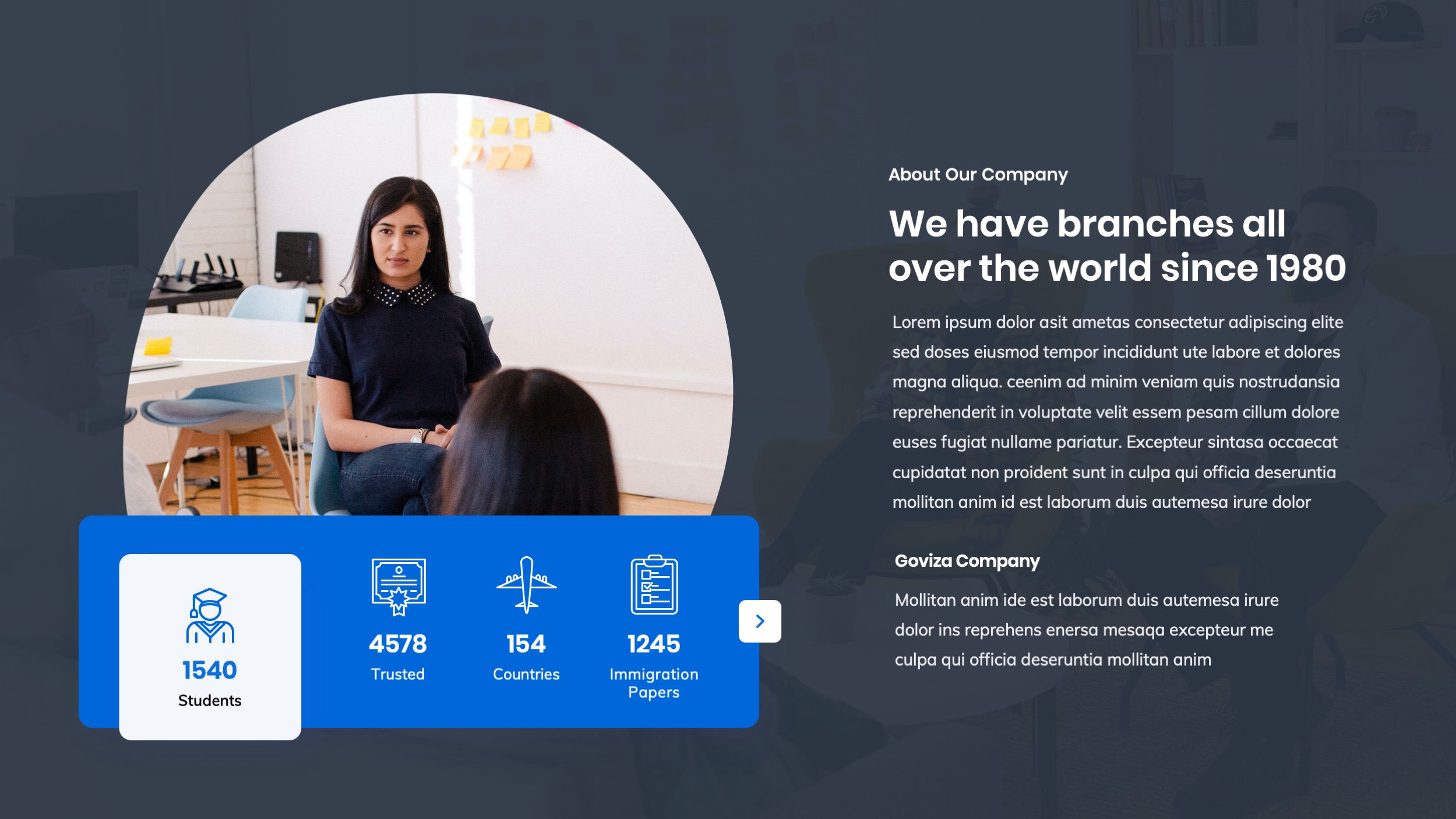 Immigration Consulting Google Slides Template, Presentation Templates