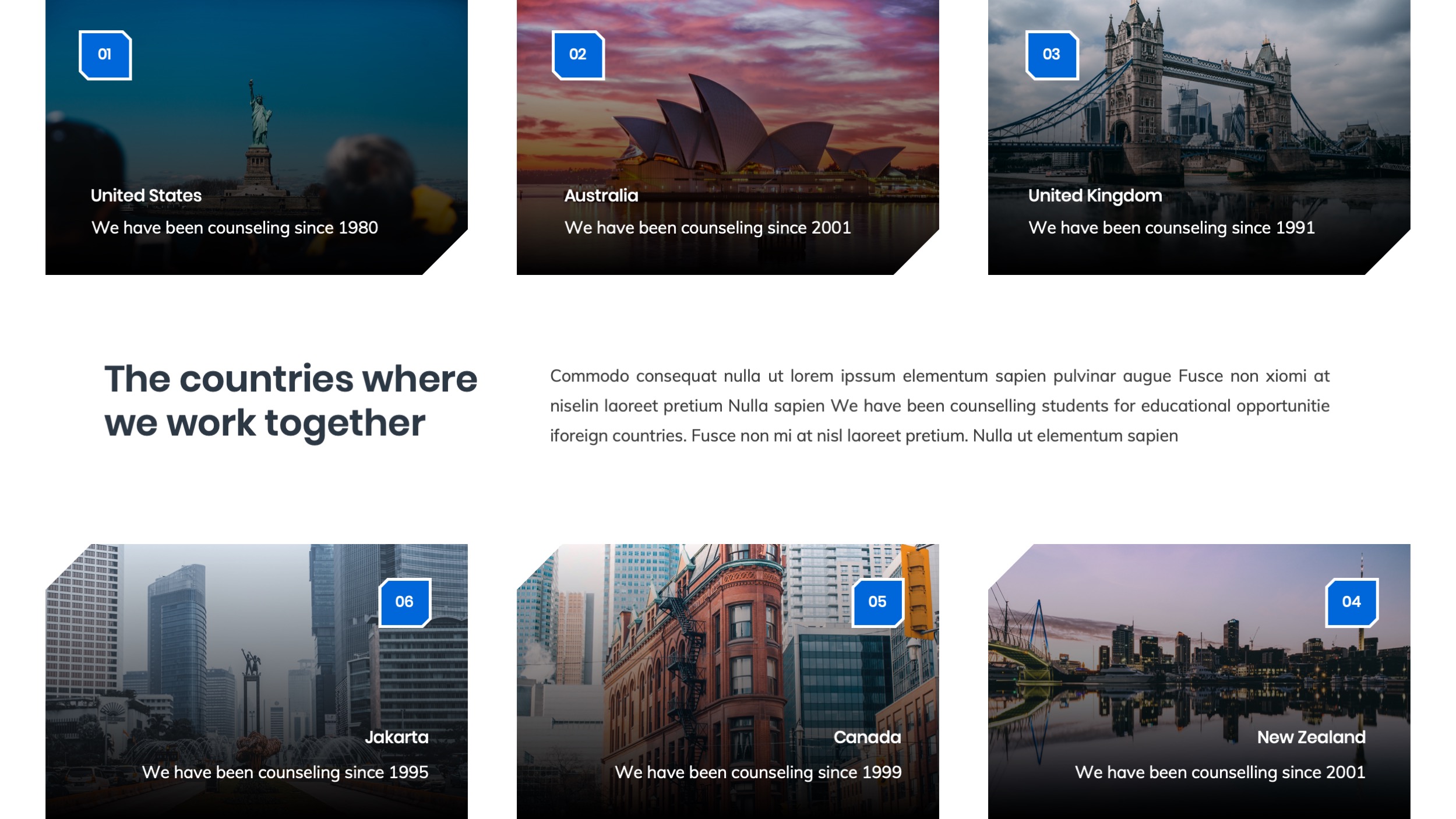 Immigration Consulting Google Slides Template, Presentation Templates