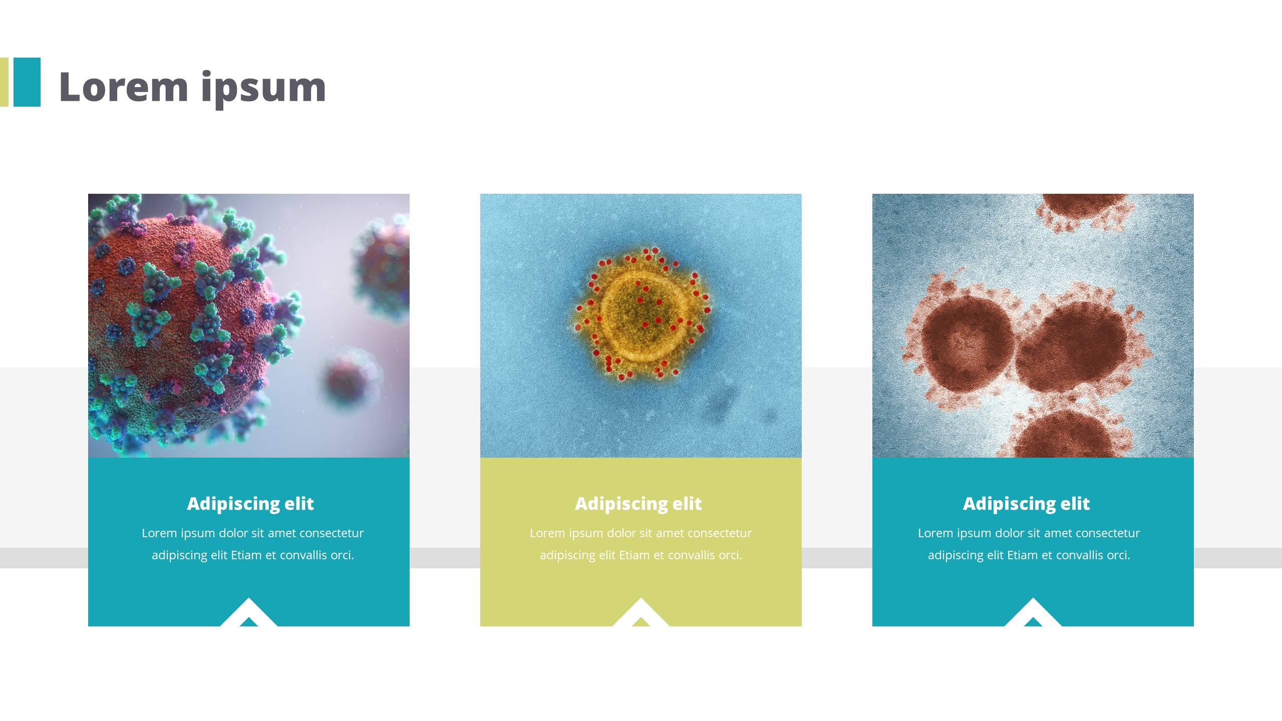 Covid-19 Coronavirus - Google Slides Template, Presentation Templates