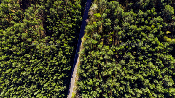 Aerial Drone View Over Forest at Spring Stock Photo by merc67 | PhotoDune