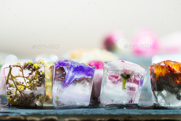 Frozen Flowers in Ice Cubes Stock Photo by Manuta | PhotoDune