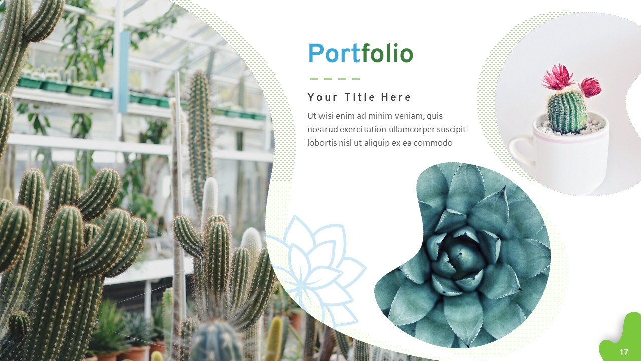 Cactus Decoration Presentation Template, Presentation Templates ...