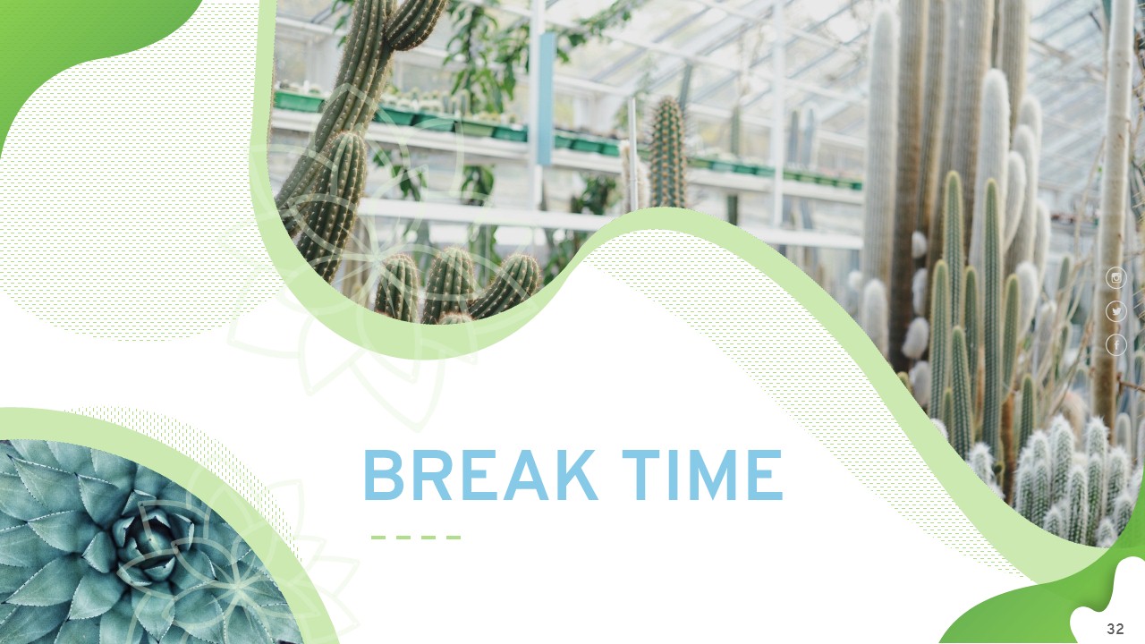 Cactus Decoration Presentation Template, Presentation Templates ...