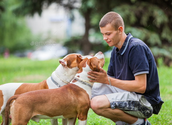 Loving owner petting adorable dogs Stock Photo by YouraPechkin | PhotoDune