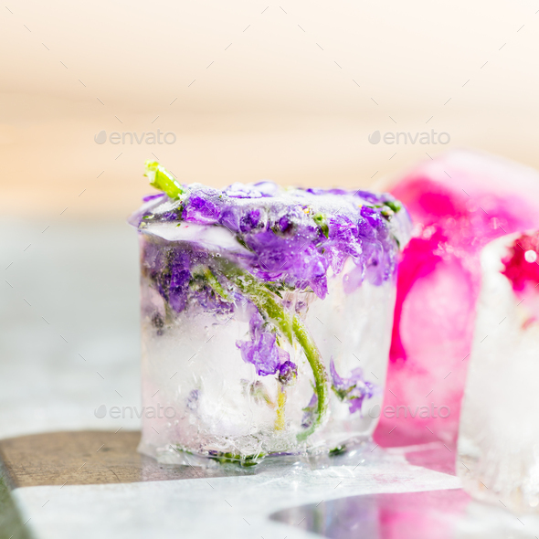 Frozen Flowers in Ice Cubes Stock Photo by Manuta | PhotoDune