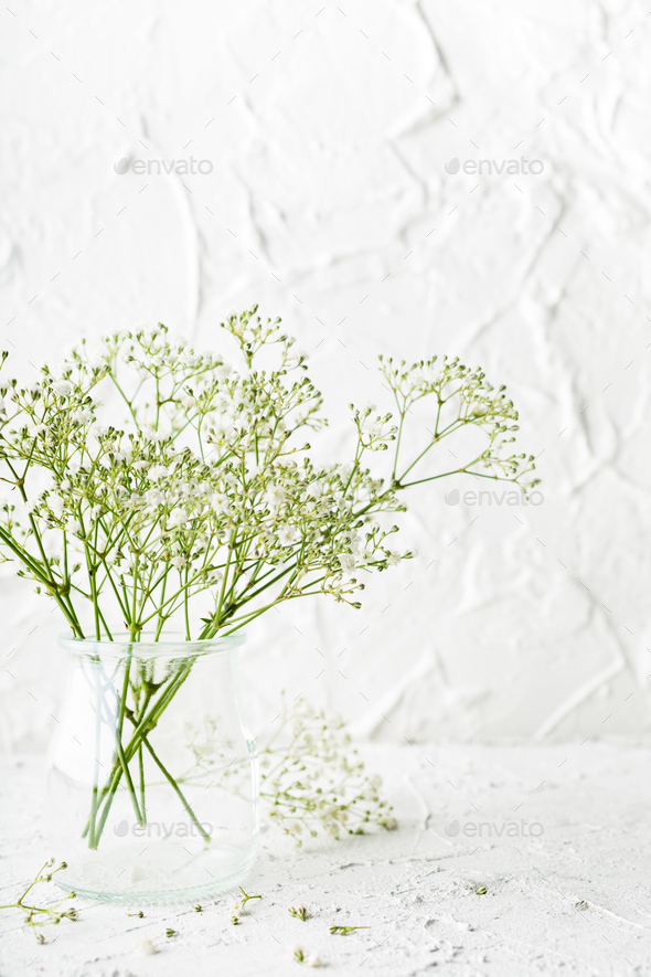 Bunch of Gypsophila Stock Photo by Merinka | PhotoDune