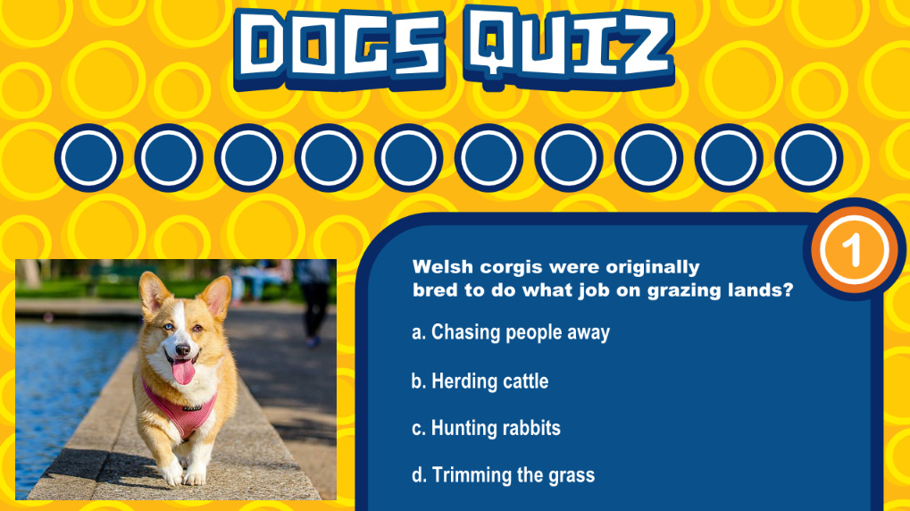 Dogs Quiz | Html5 Game | Educational Games by NubiaStudio | CodeCanyon