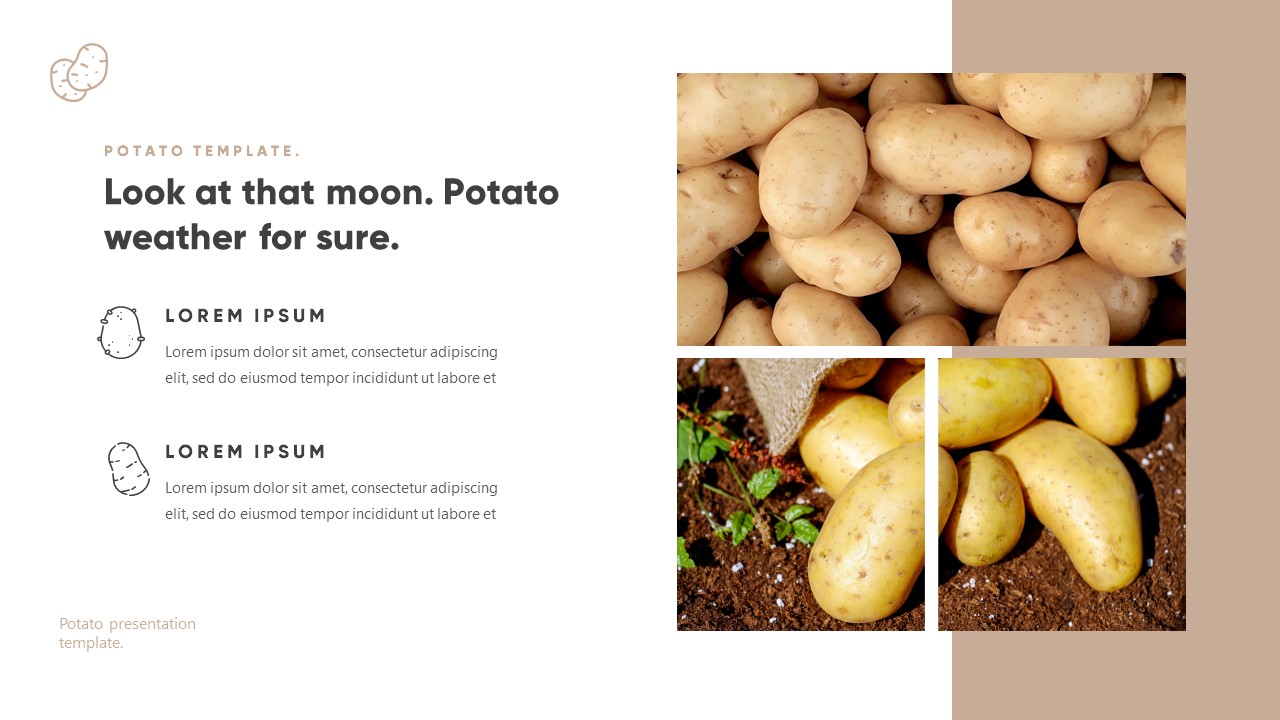 Potato - Grocery & Organic Food Powerpoint Template, Presentation Templates