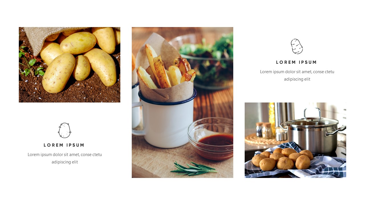 Potato - Grocery & Organic Food Powerpoint Template, Presentation Templates