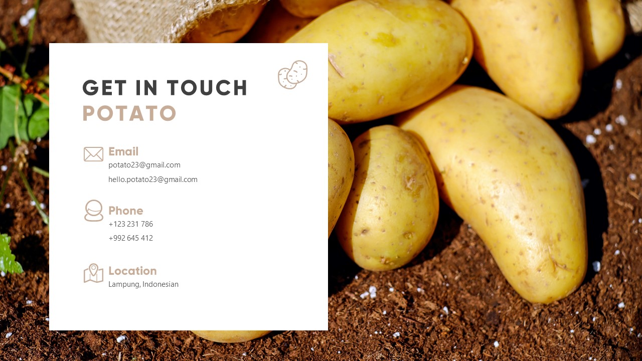 Potato - Grocery & Organic Food Powerpoint Template, Presentation Templates