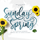 Sunday Spring, Fonts | GraphicRiver
