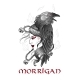 Queen Raven Morrigan in Ritual Mask Illustration, Vectors | GraphicRiver