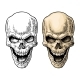 Skull Human with a Smile, Vectors | GraphicRiver