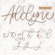 Adelyne - Modern Handlettering, Fonts | GraphicRiver