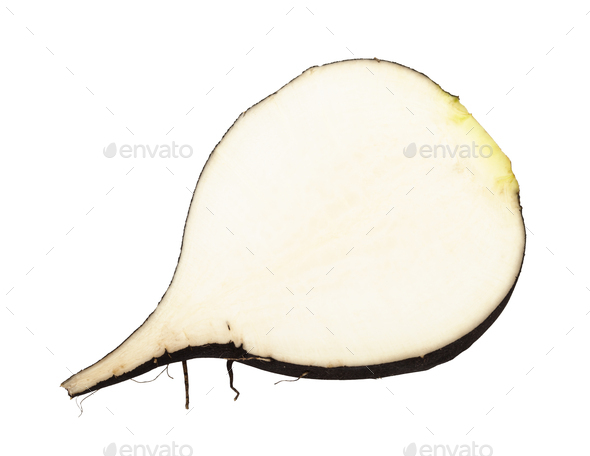 cross section of fresh black radish root isolated Stock Photo by vvoennyy