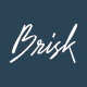 Brisk Handwritten Font, Fonts | GraphicRiver