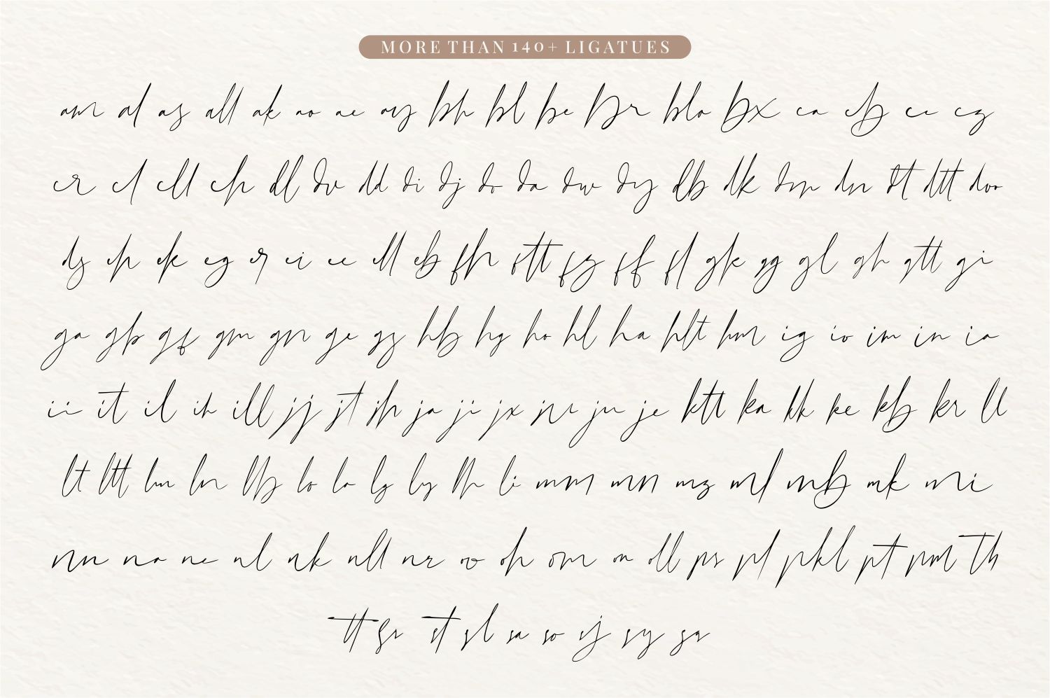 Dutchly - Modern Handwritten, Fonts | GraphicRiver