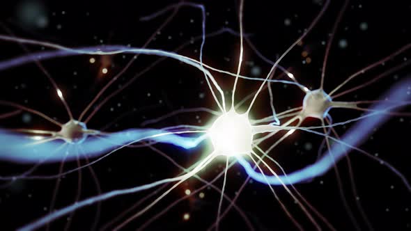 Nerve cell in human brain that pulsing and transmitting the electrical ...