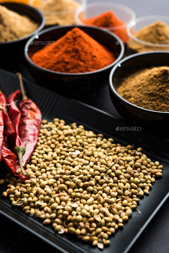 Four Spices Stock Photo by stockimagefactory | PhotoDune