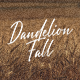 Dandelion Fall - script font by Graphue | GraphicRiver