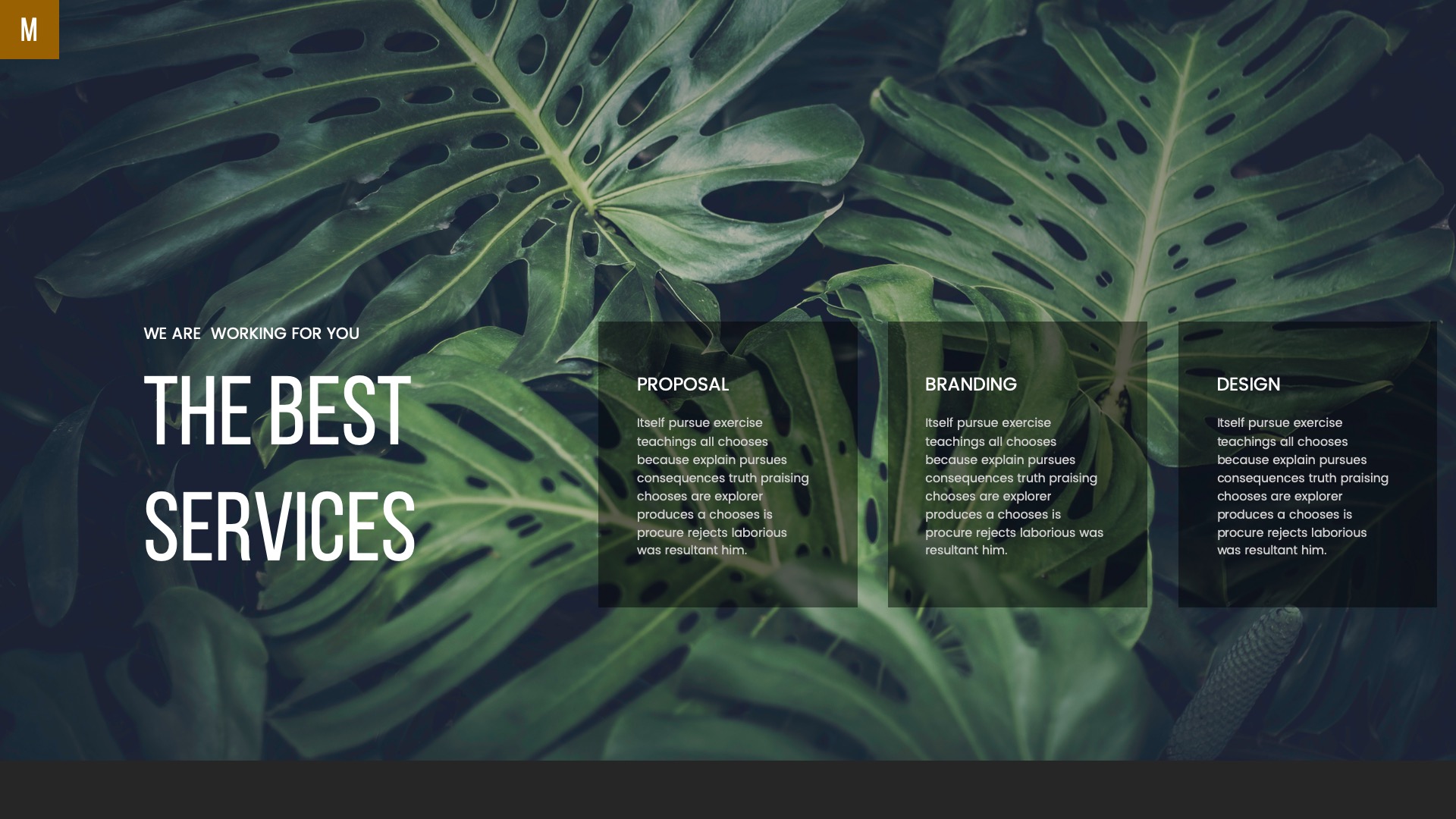 Mellow Keynote Presentation, Presentation Templates | GraphicRiver