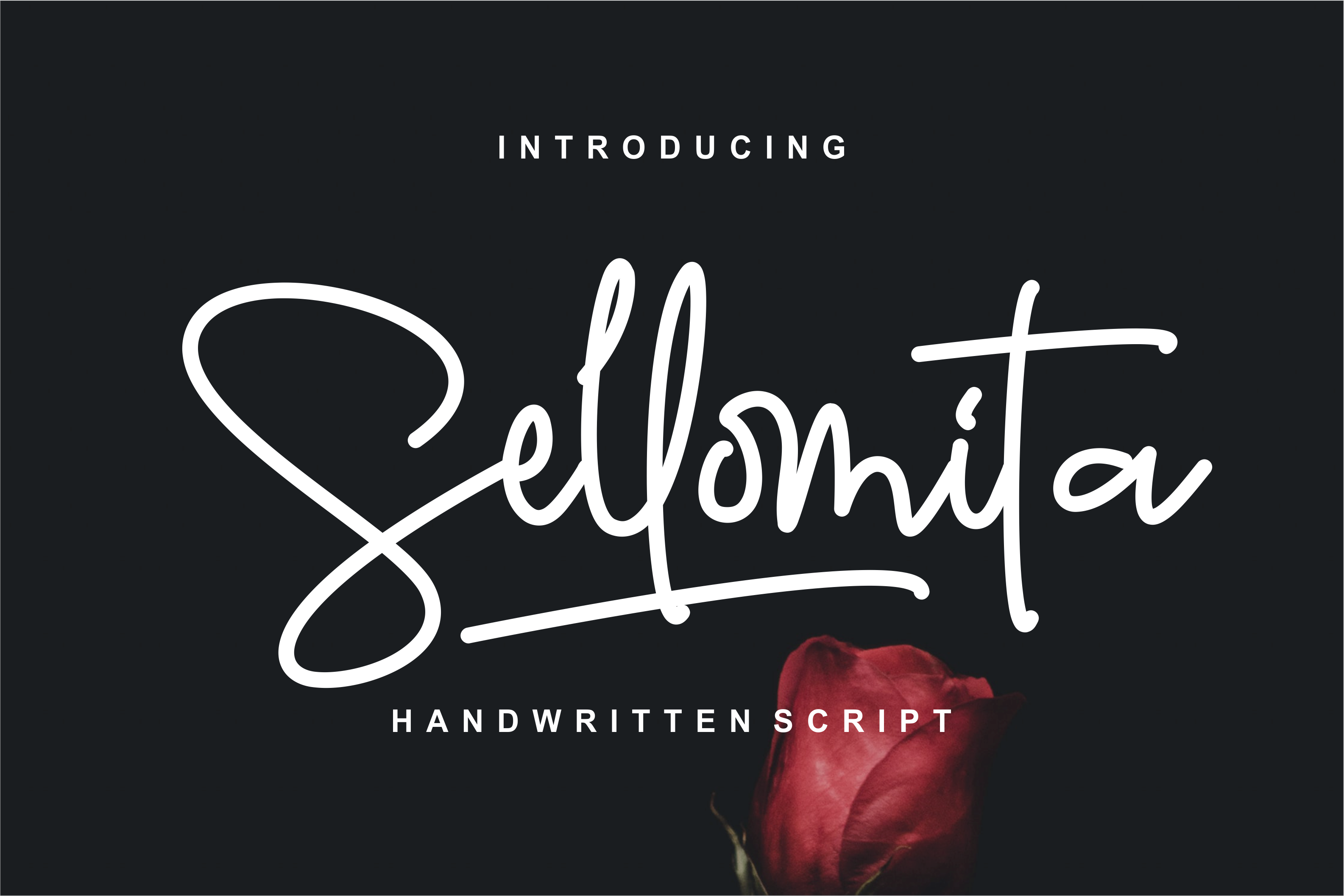 Sellomita, Fonts | GraphicRiver
