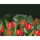 Border with Anthuriums and Tropical Leaves. Vector, Vectors | GraphicRiver