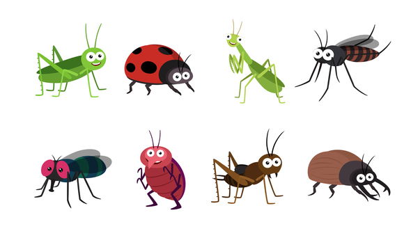 Cartoon Insects 1, Motion Graphics | VideoHive