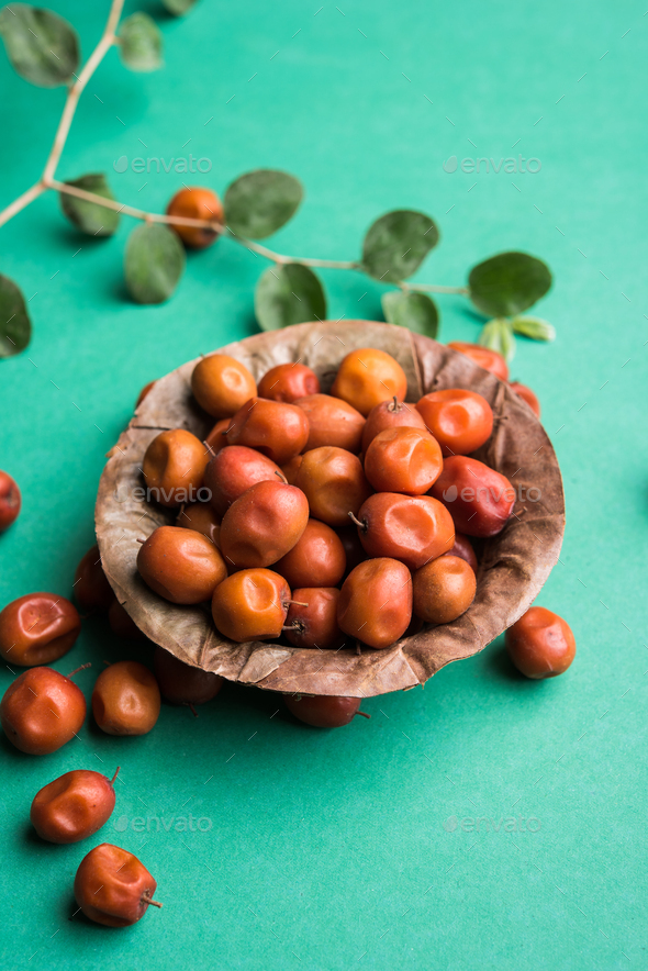 Indian Jujube / Ber / Berry / Ziziphus Mauritiana Stock Photo by ...