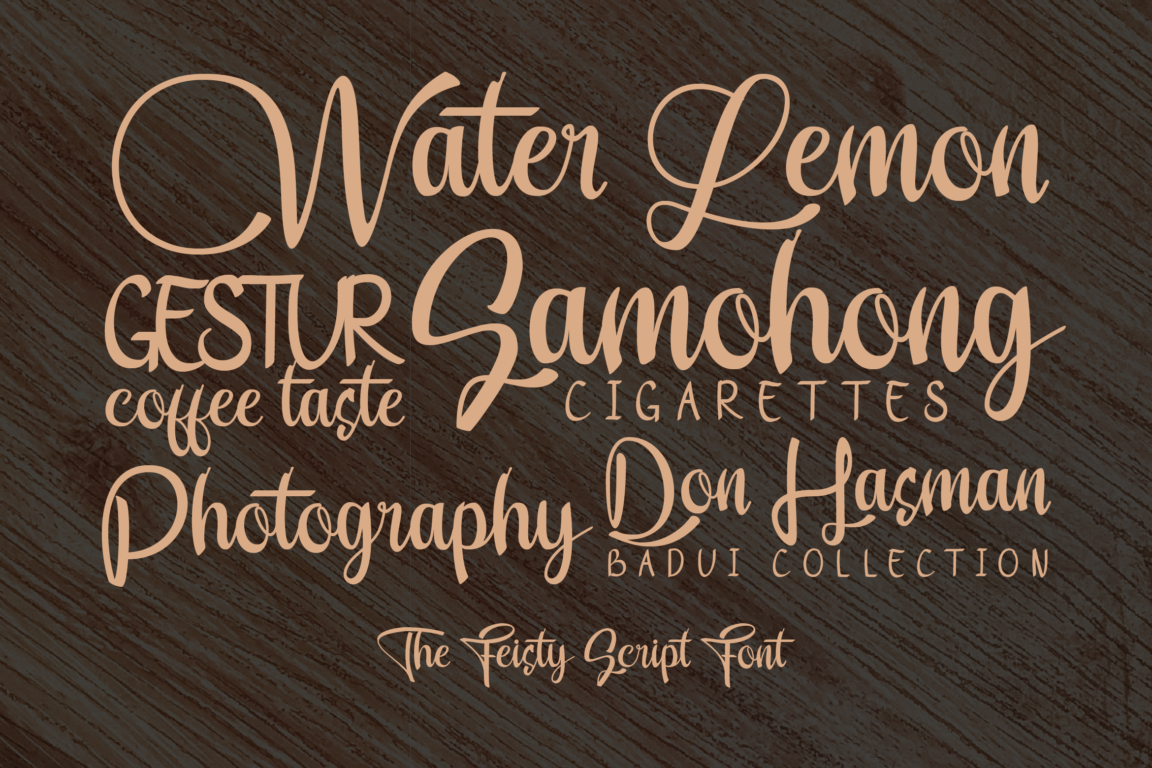 Feisty, Fonts | GraphicRiver