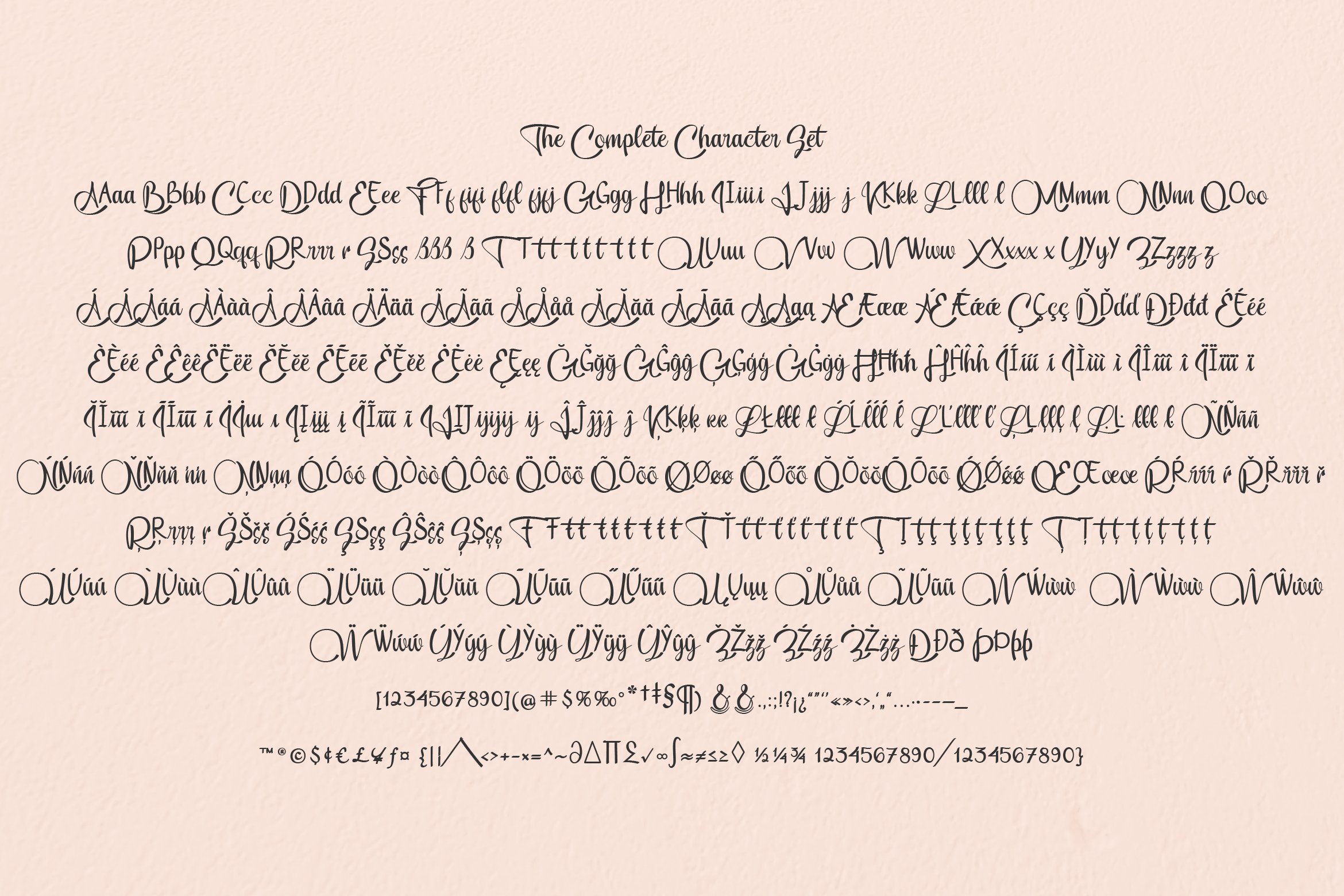 Feisty, Fonts | GraphicRiver