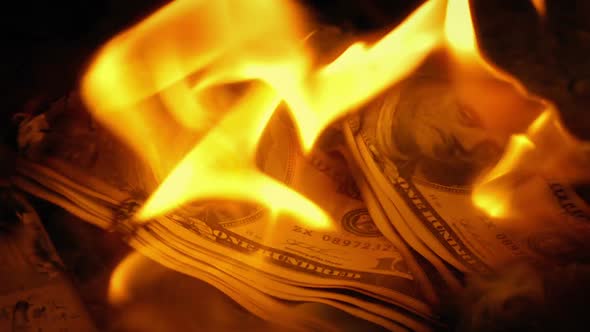 Handful Of Hundred Dollar Bills On Fire, Stock Footage | VideoHive