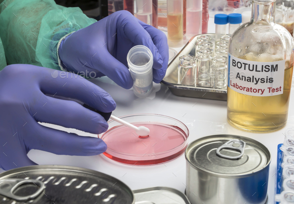 Experienced laboratory scientist analyzing a sample from a canned food ...