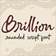 Brillion - Script Font, Fonts | GraphicRiver